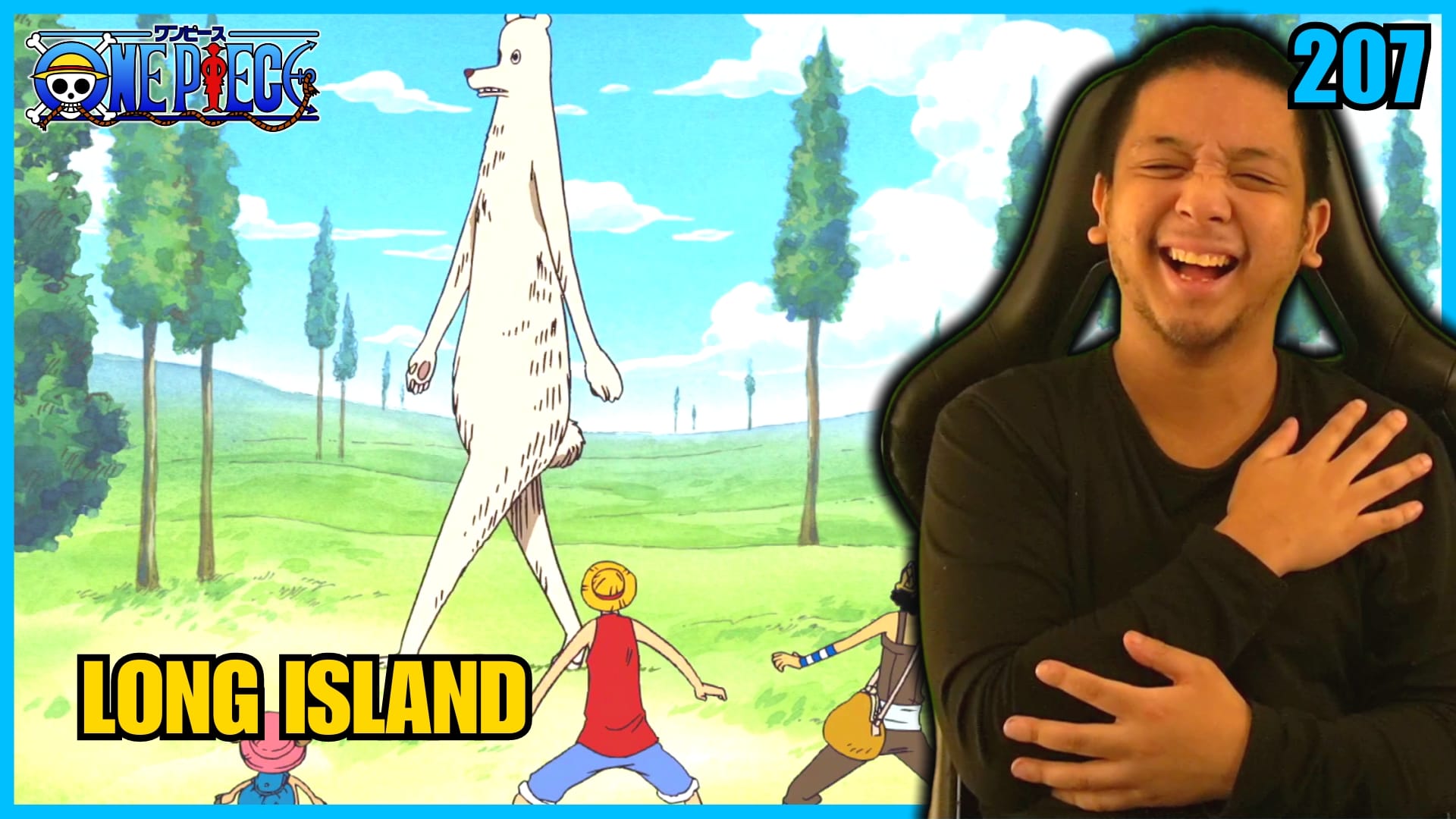 One Piece 207