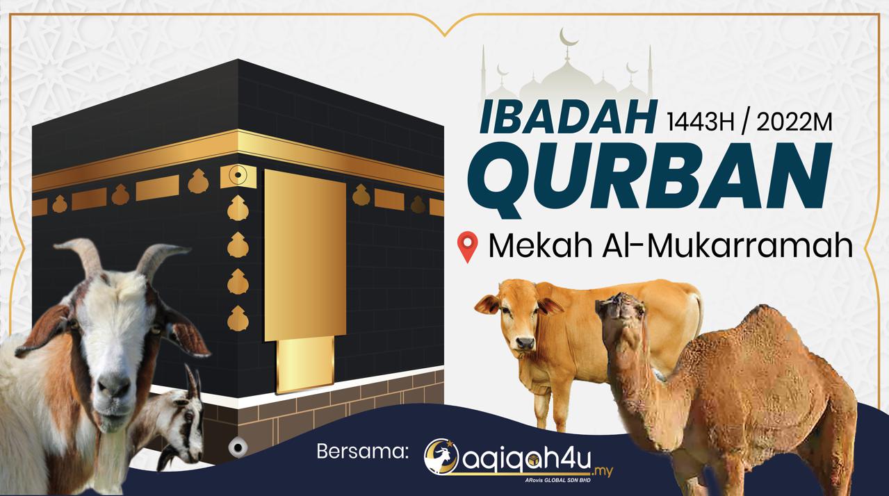 Watch e85154b9-88db-48a8-b71a-78246b65a2b1 | Streamable