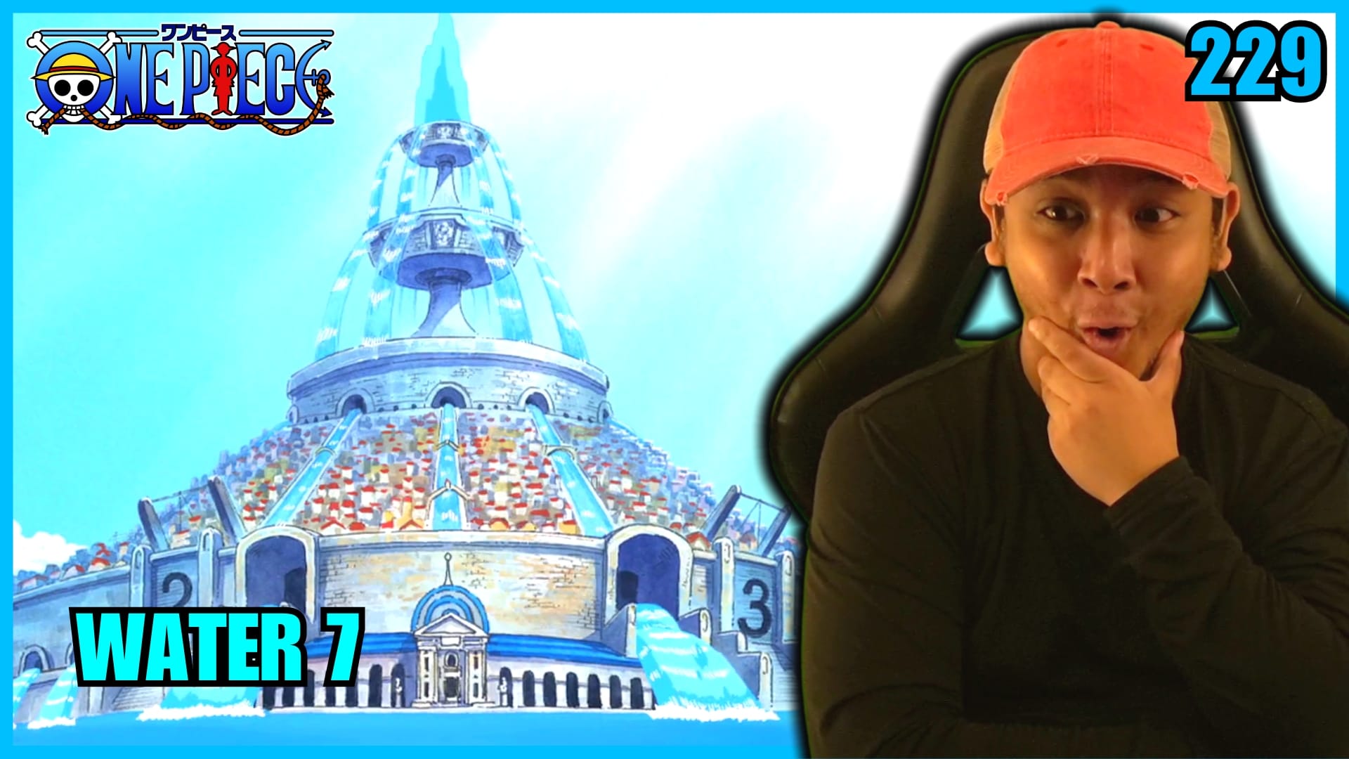 One Piece 229
