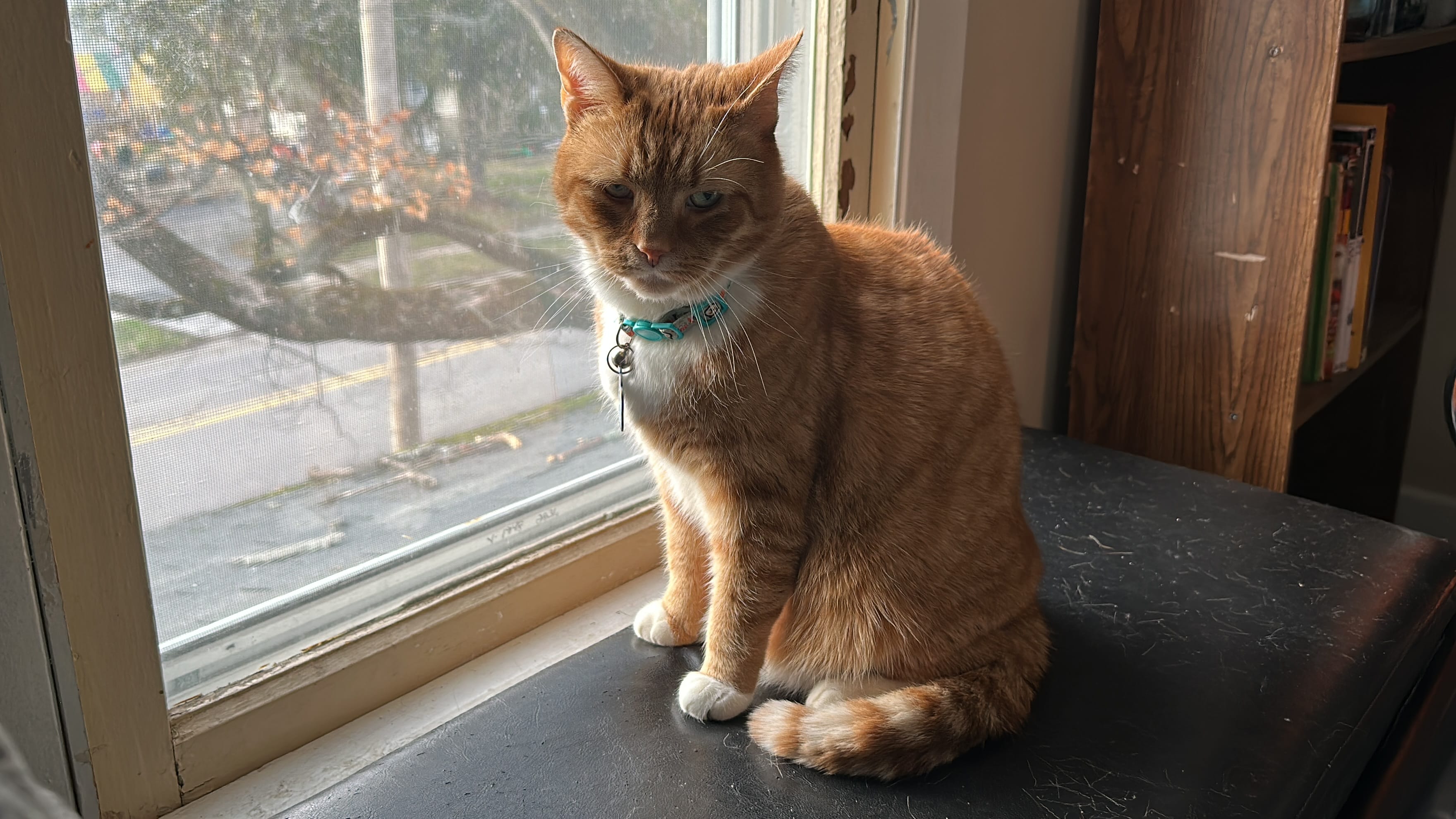 Watch HiDef: Harper In My Bedroom!-(1/5/2023!) | Streamable