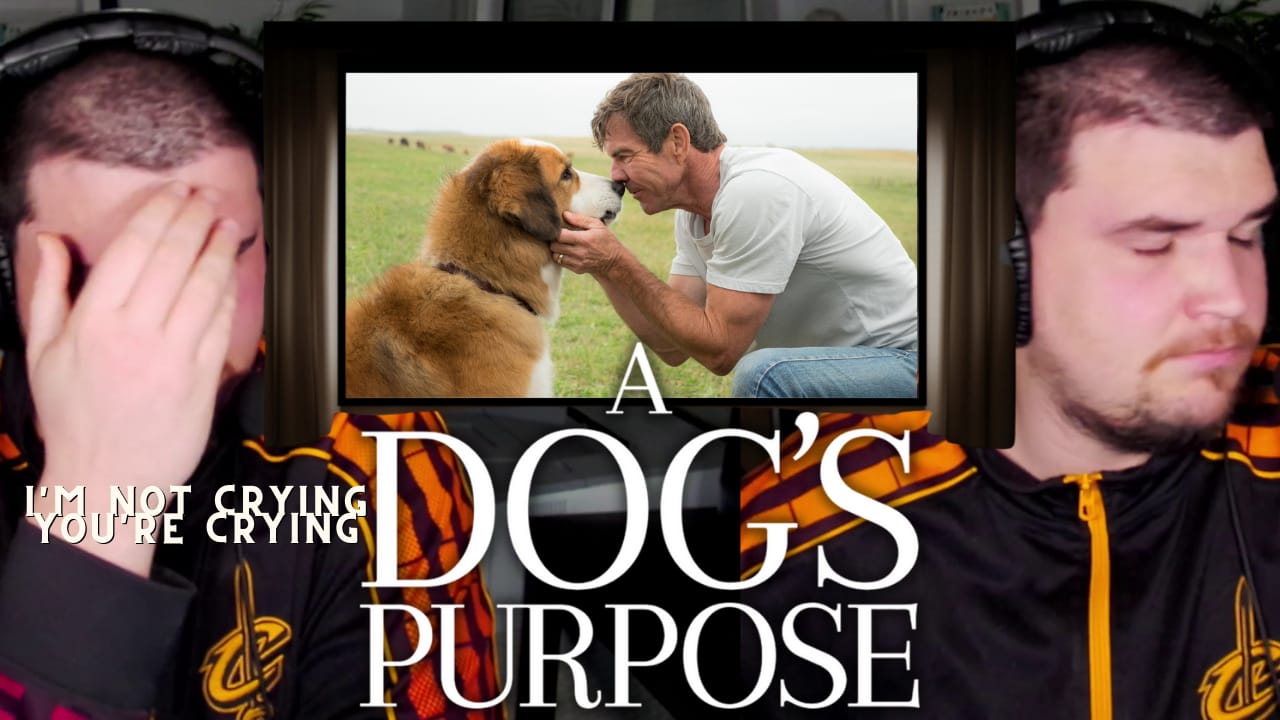 Watch A Dogs Purpose | Streamable