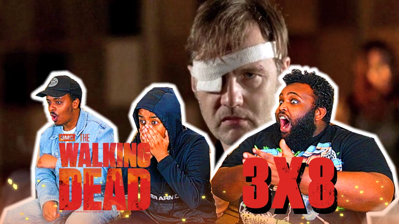 Watch TWD 3X8 & 3X9 | Streamable