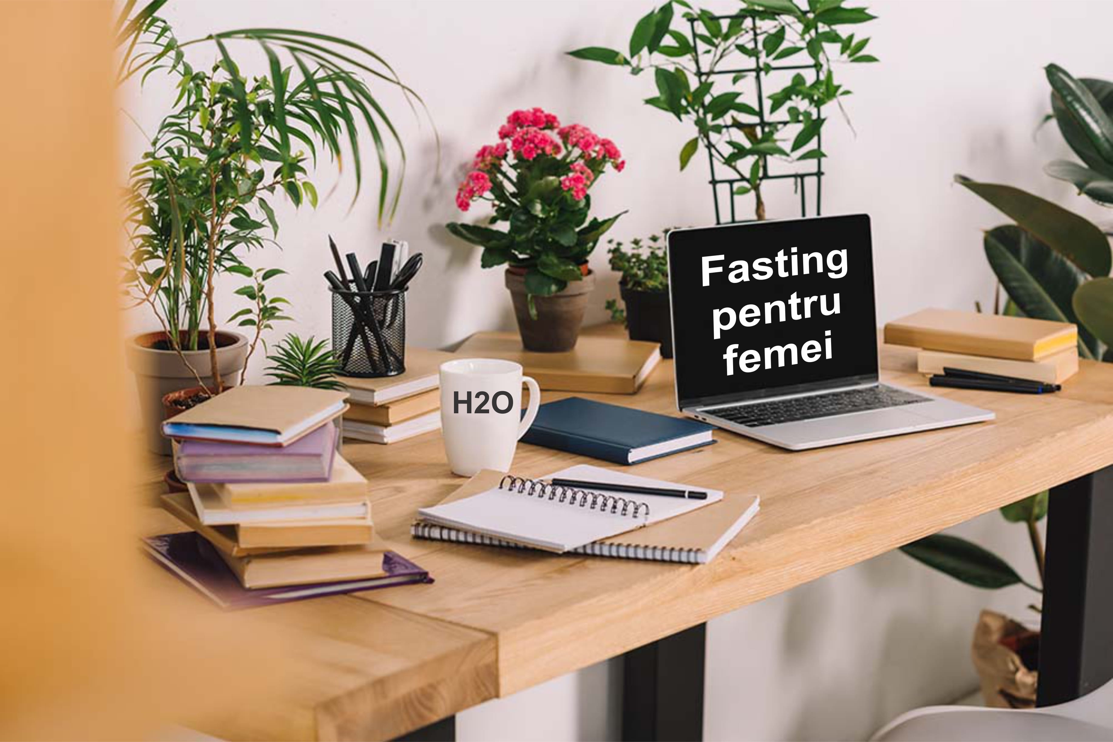 Watch 11 Tipuri de post alimentar | Streamable