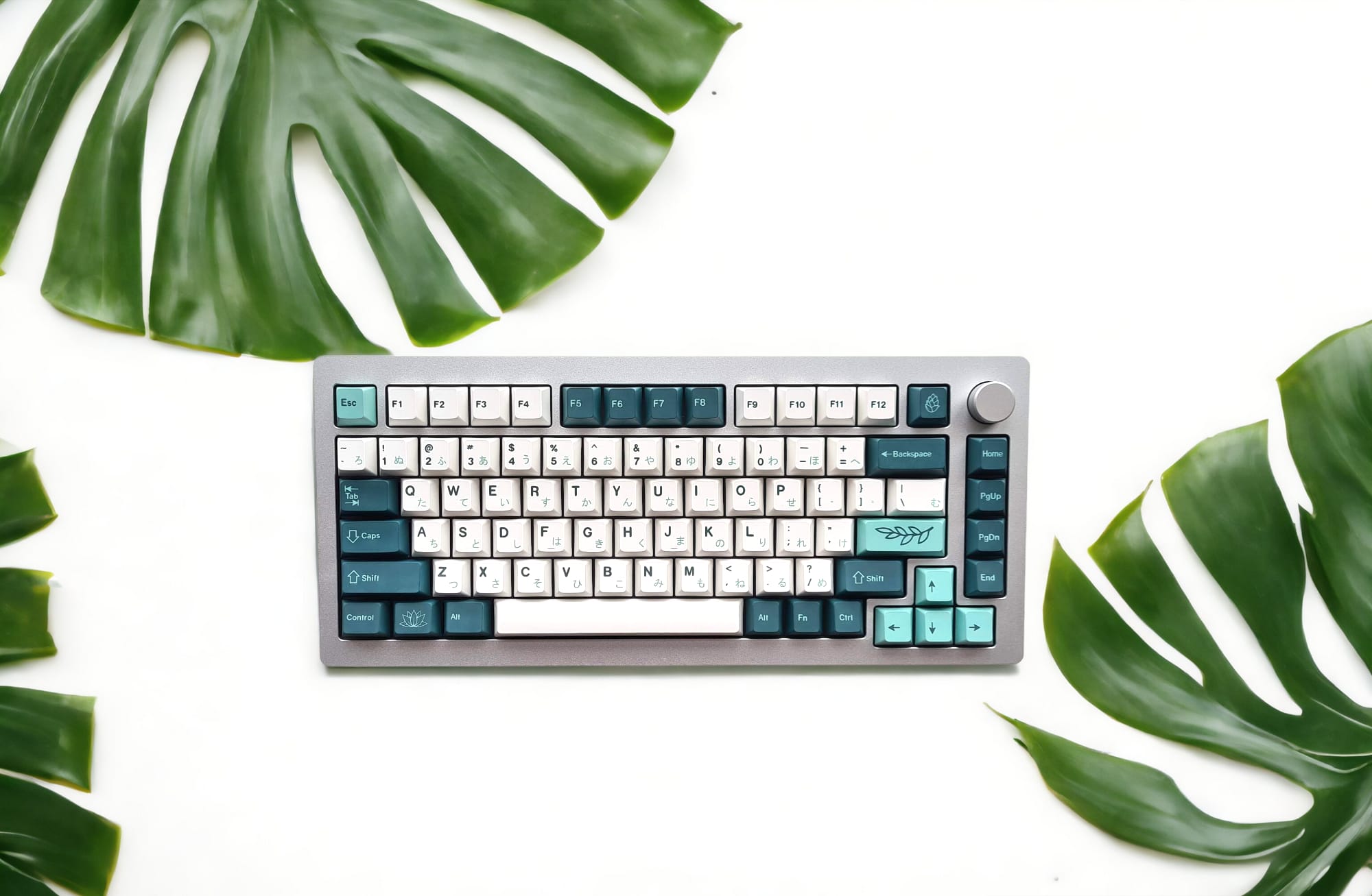 Jhao 75 Botanical 2023