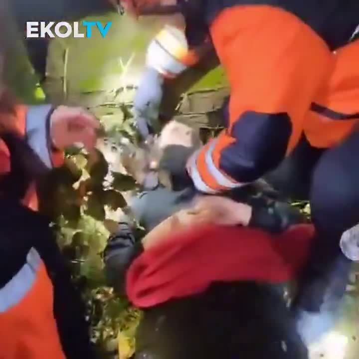 Watch odatv-1897436361856053434-01 | Streamable