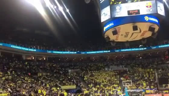 Streamable Video