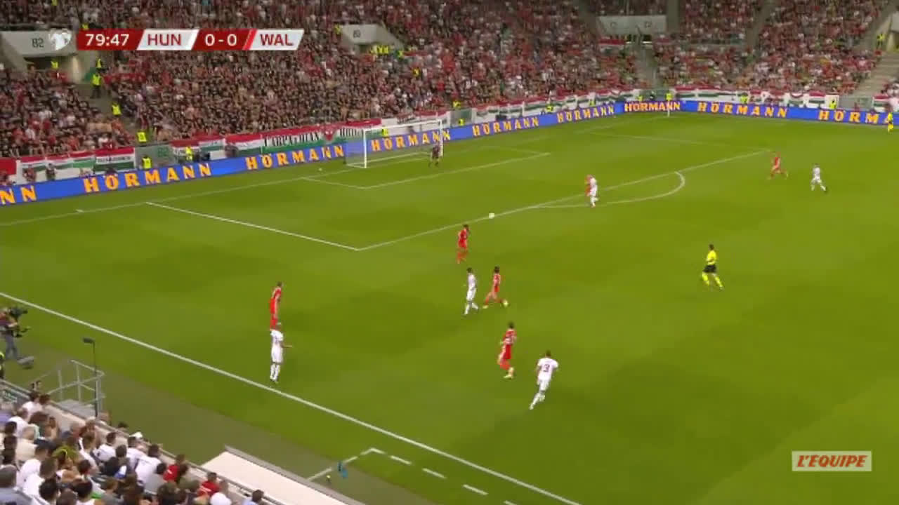 Watch Streamja - Simple video sharing | Streamable