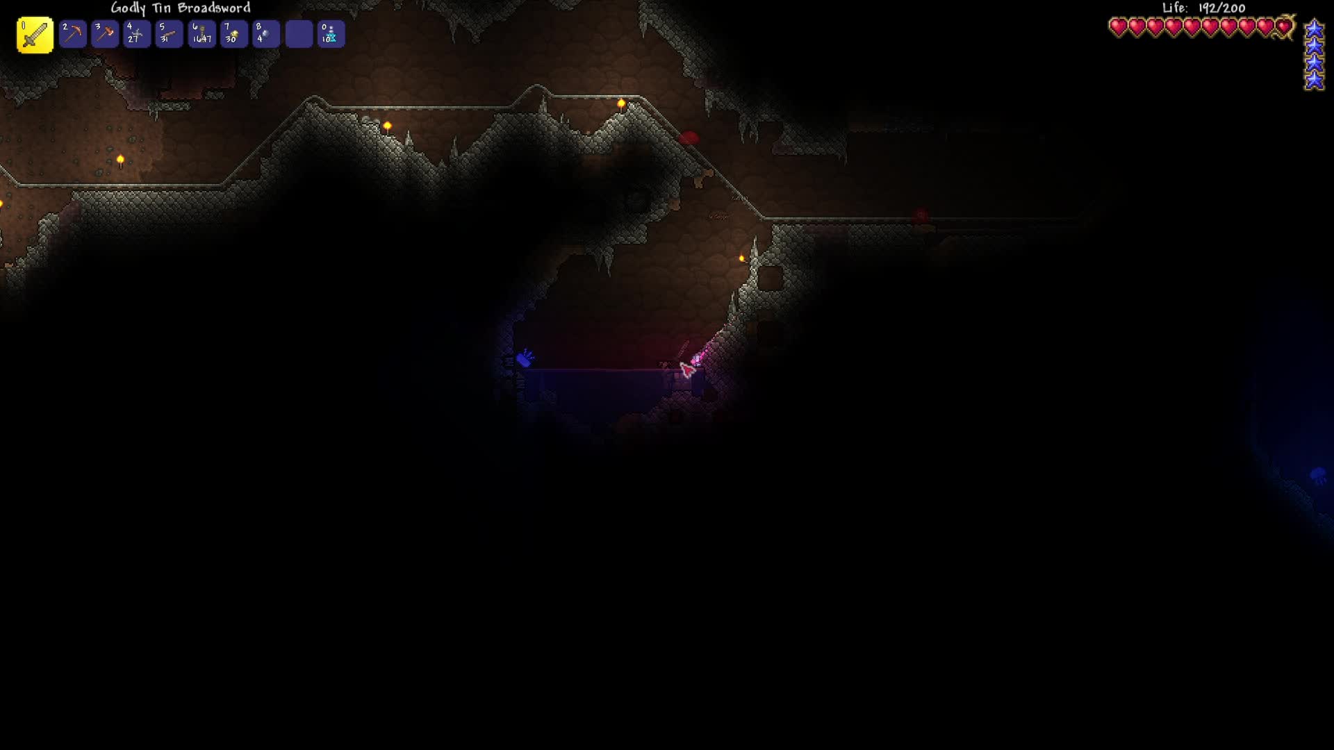 Typical Terraria day