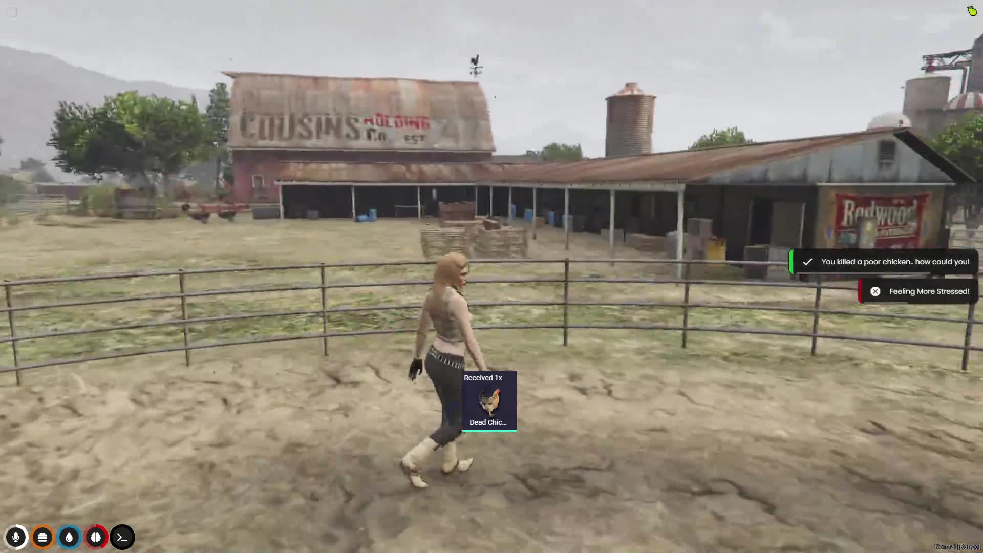 Watch Killing Chickens and Collecting Eggs | Streamable