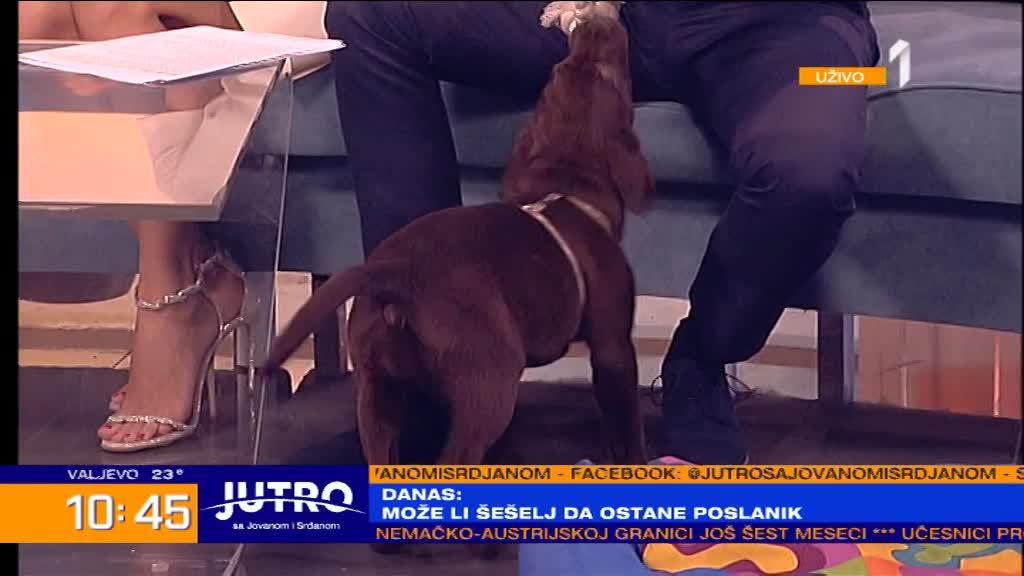 Watch JJ in sandals | Streamable