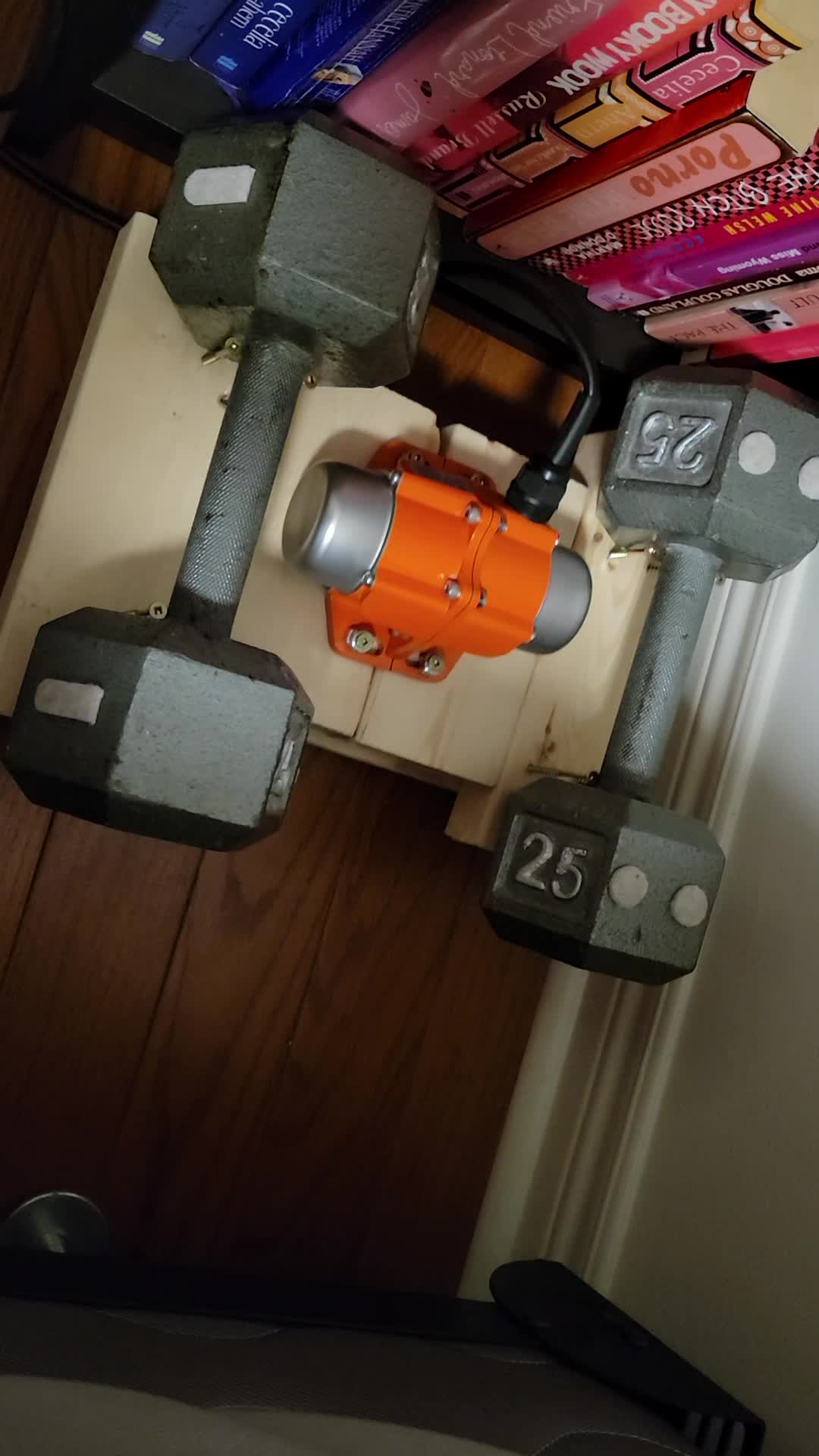 Watch 20221006_195004 | Streamable