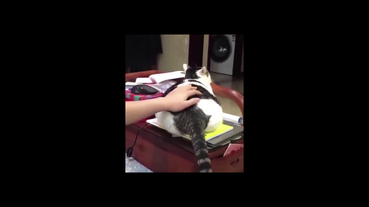 TRAMPOLINE TIME ~ NEW SUPER MARIO BROS