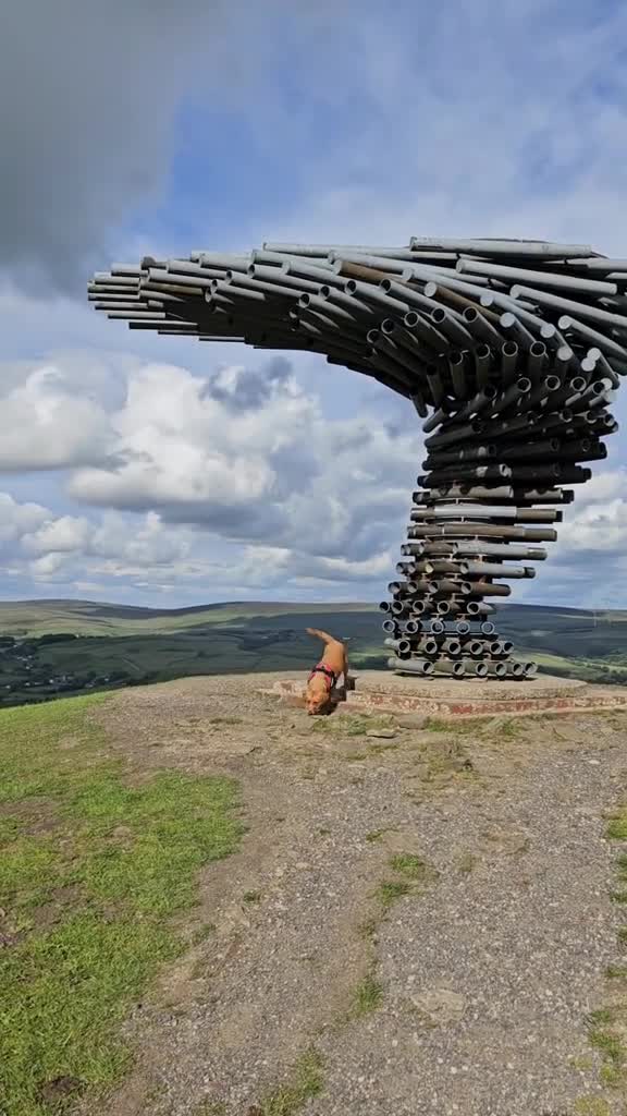 Watch https://www.tiktok.com/@richardsmith228/video/7388871788094065952 | Streamable