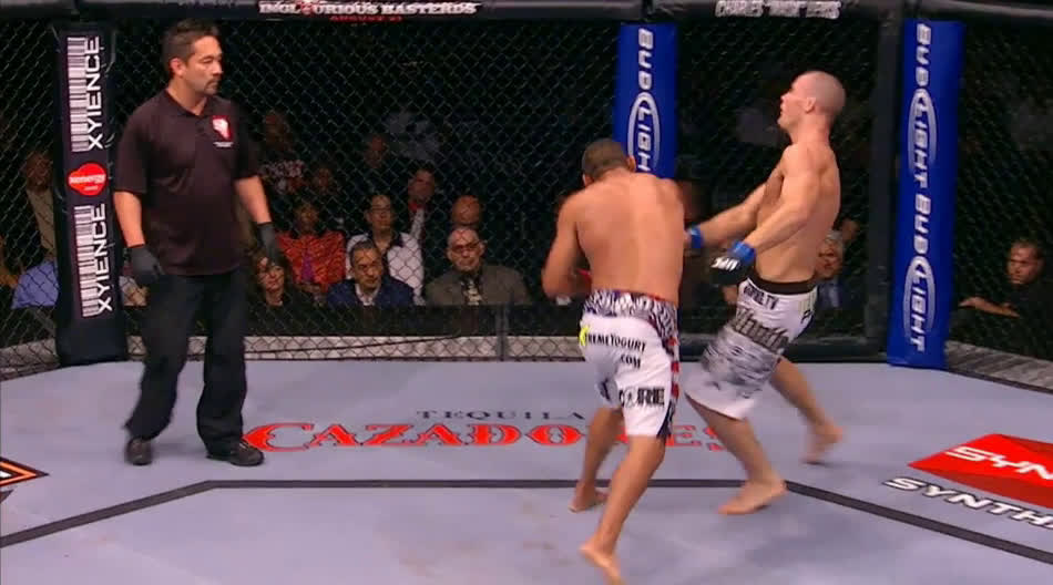 hendo v bisping