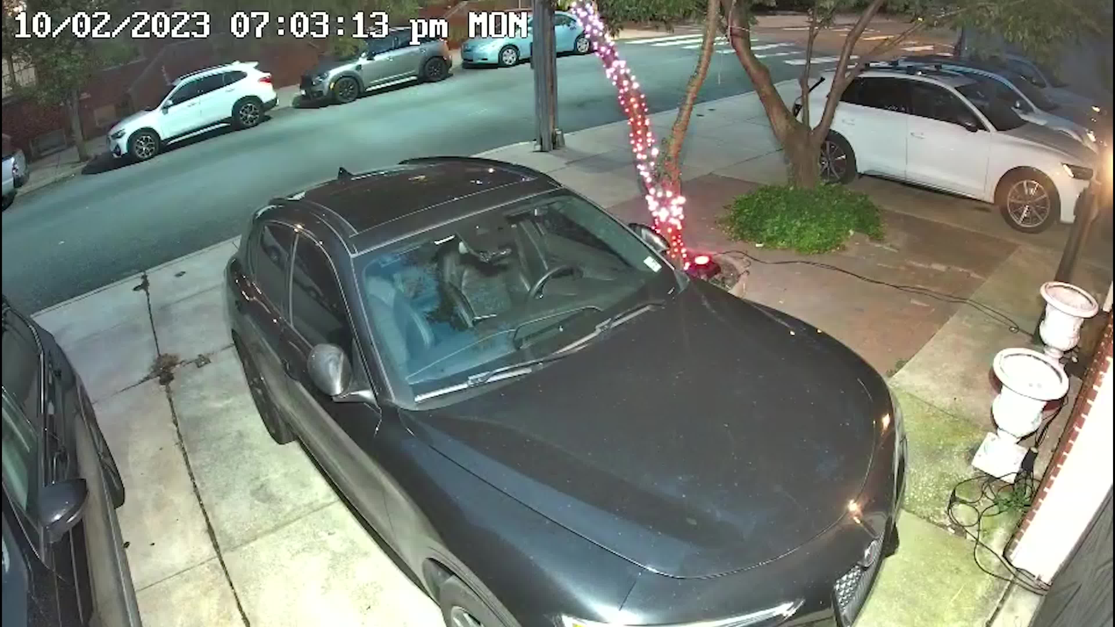 Package Thief of the Day - 10/02/23