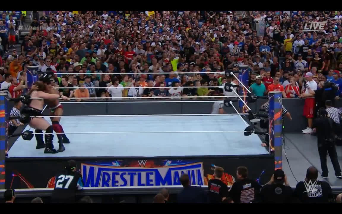 Watch Wrestlemania 33: Security makes an Oopsie! | Streamable