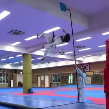 Backflip kick