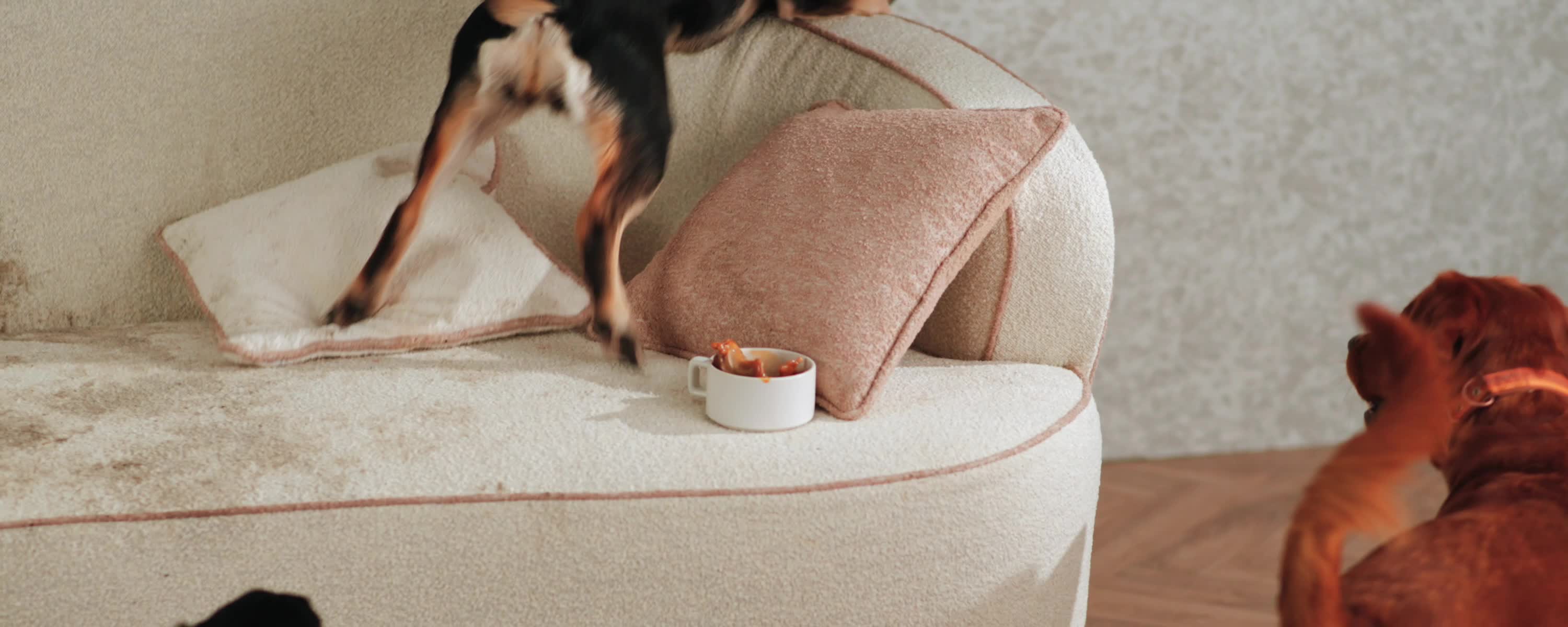 Watch BANNER V3 | Streamable