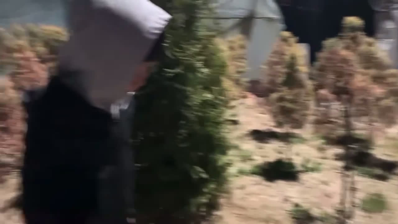 Watch x1u66j | Streamable