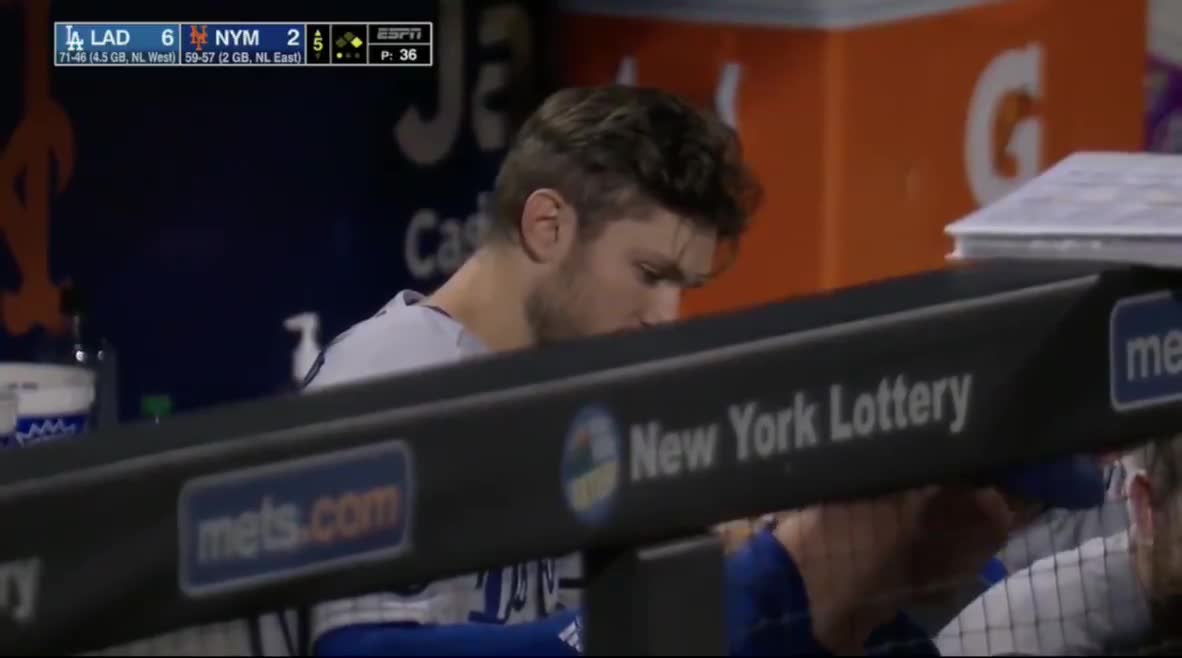 The Dodgers have become the New York Yankees of baseball.