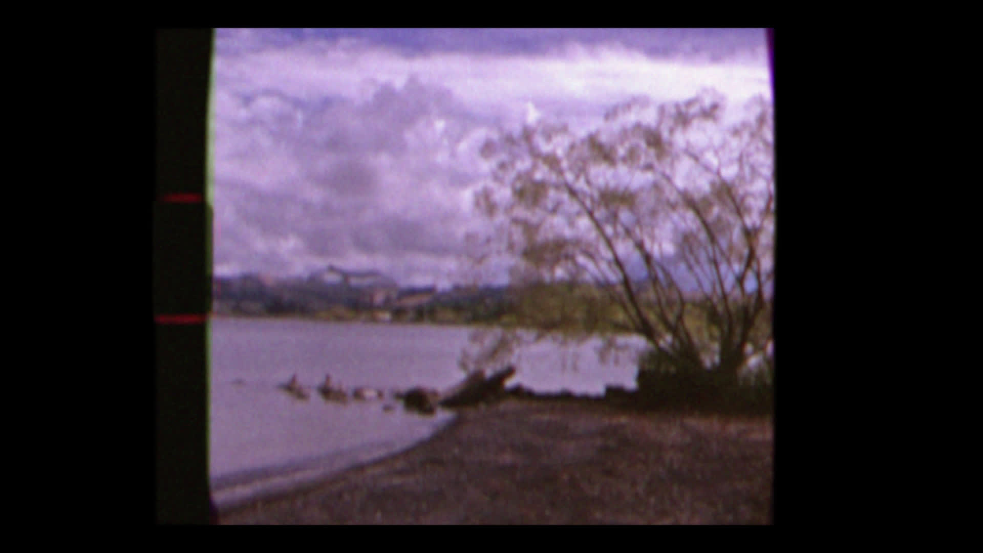 Large Spider Cryptid/Creature Caught on Super 8 Camera [Film Scan]