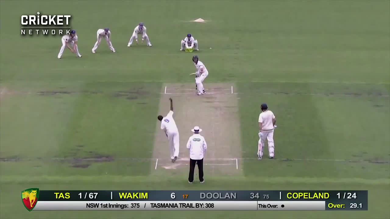 Baxter Holt takes a spectacular one handed catch on debut for NSW