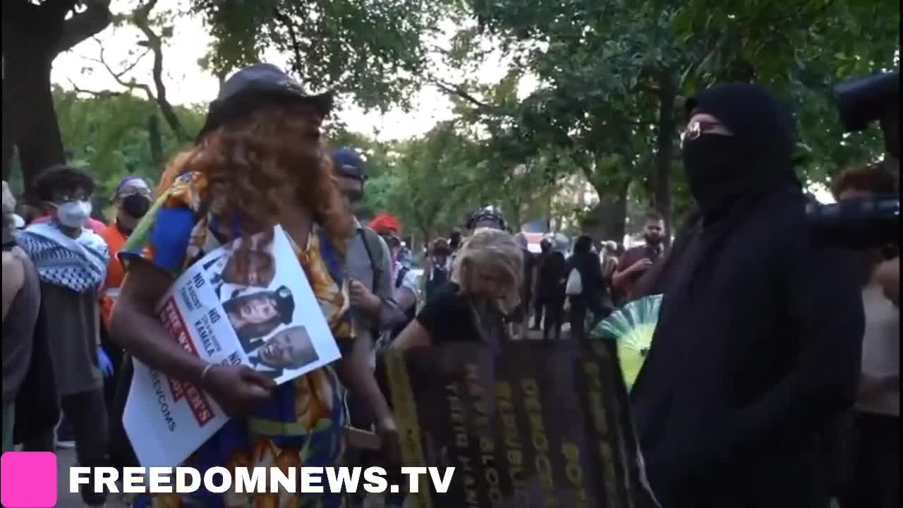 Watch Chicago native cooks Leftist dipshits protesting at the DNC ...