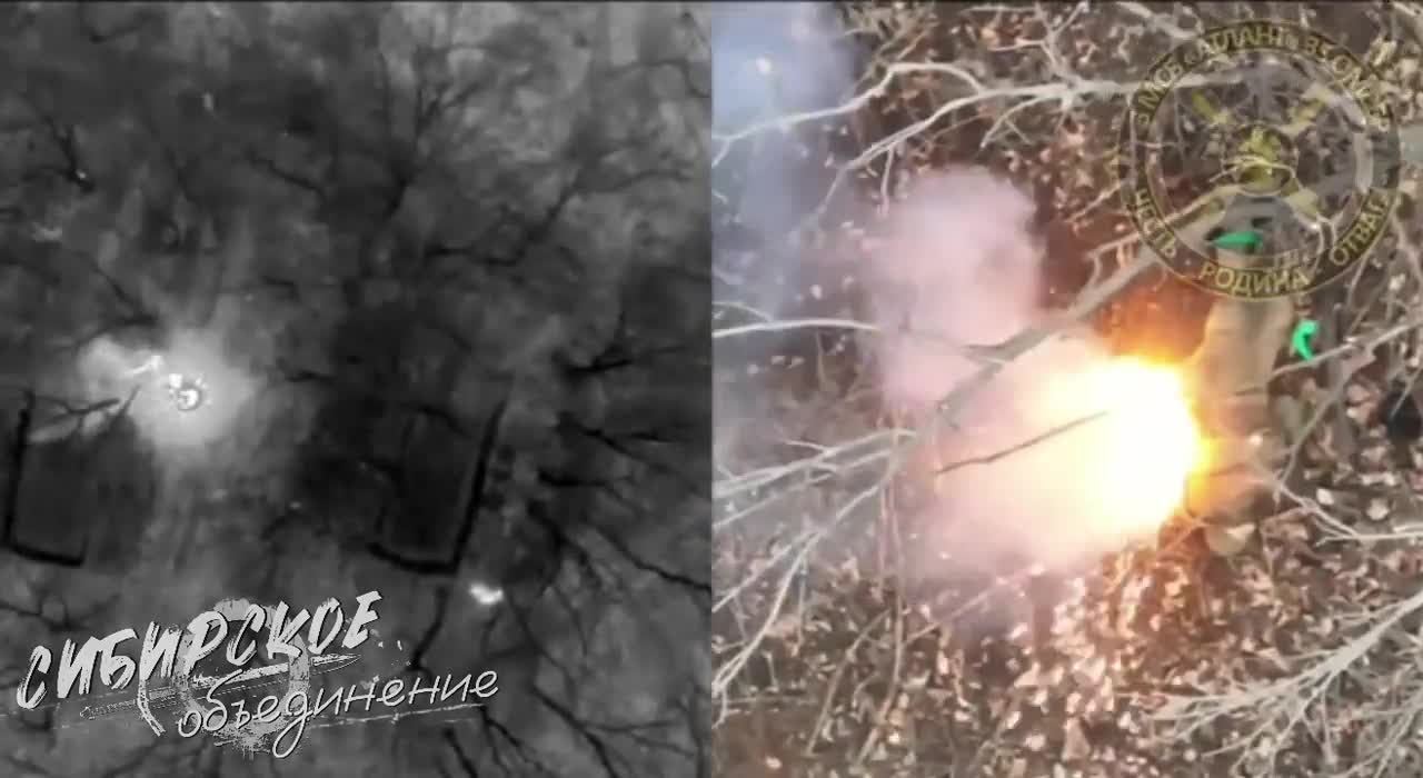 Watch 35 | Streamable