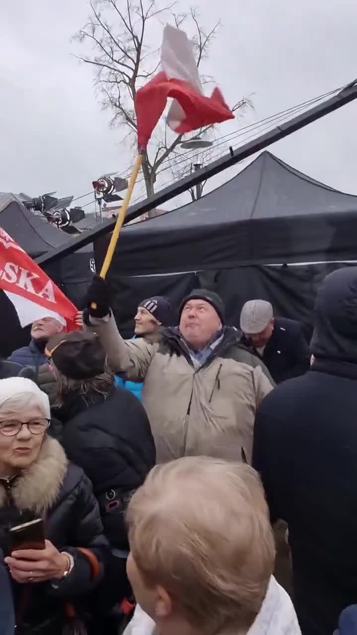 Watch download | Streamable