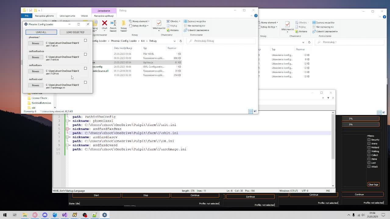 Watch PhoenixBot Config Loader Tool | Streamable