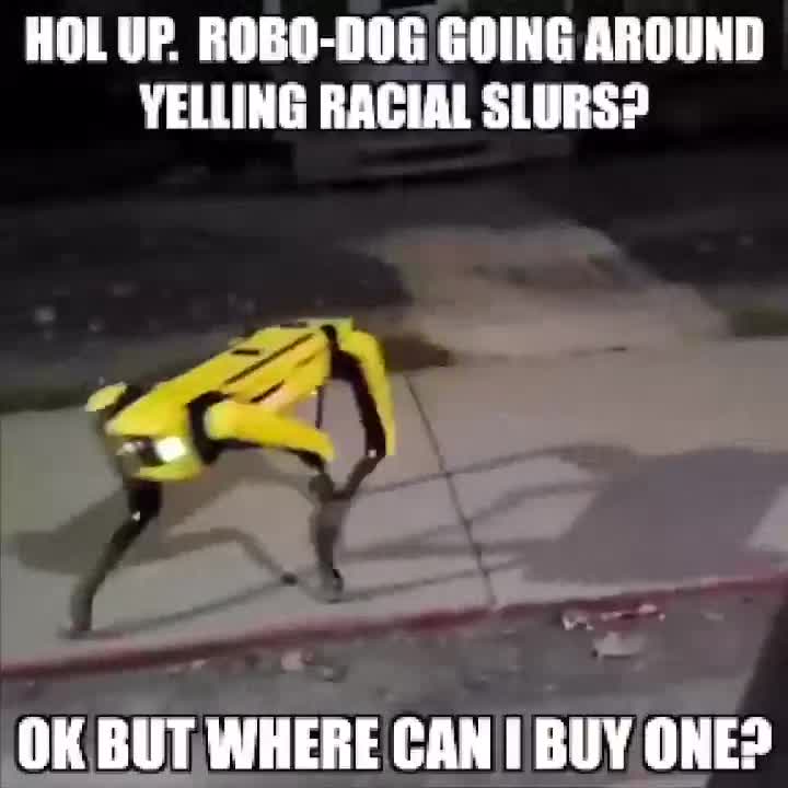 RoboDog