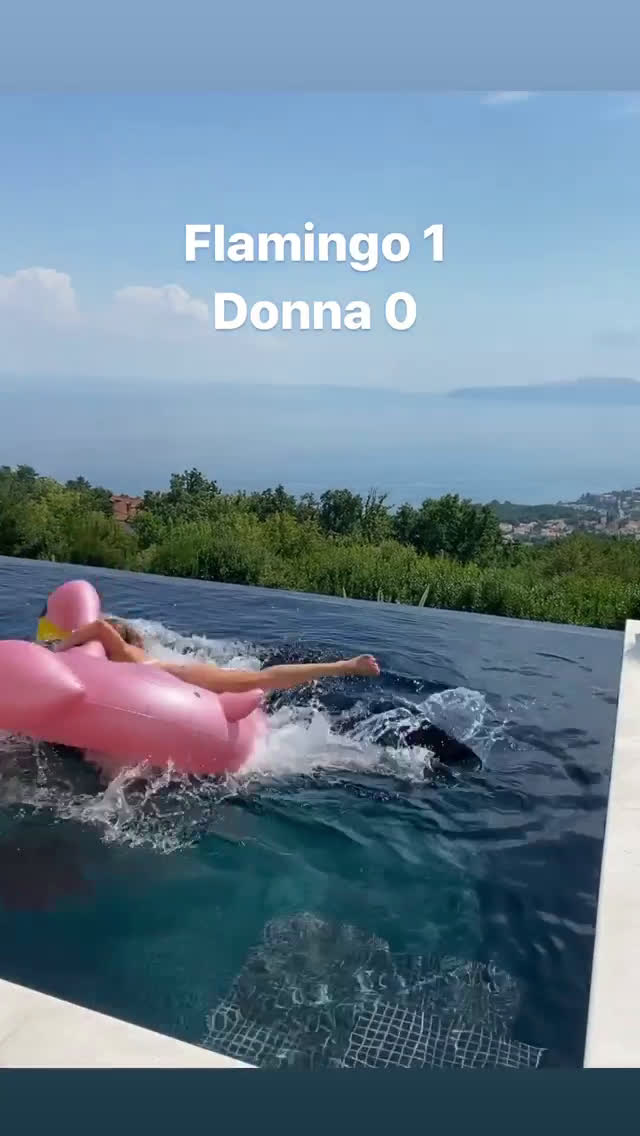 Donna Vekic & Flamingo